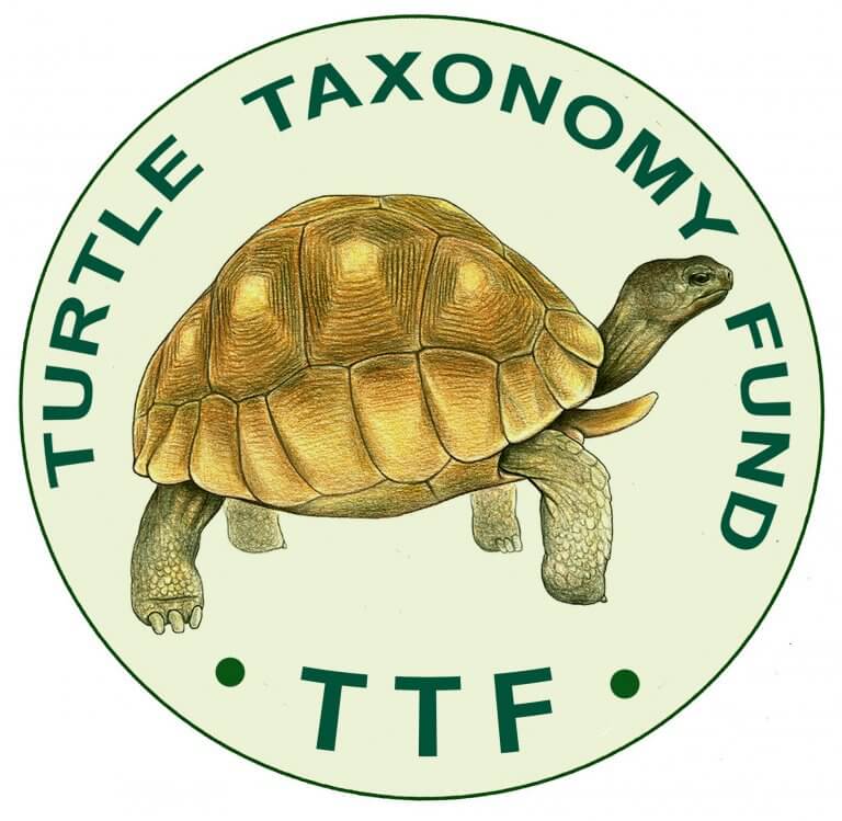 Chelonian Research Foundation » Turtle Taxonomy Fund